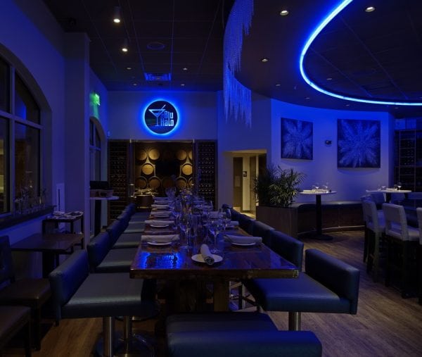 The Blu Halo - Tallahassee - LogicWave